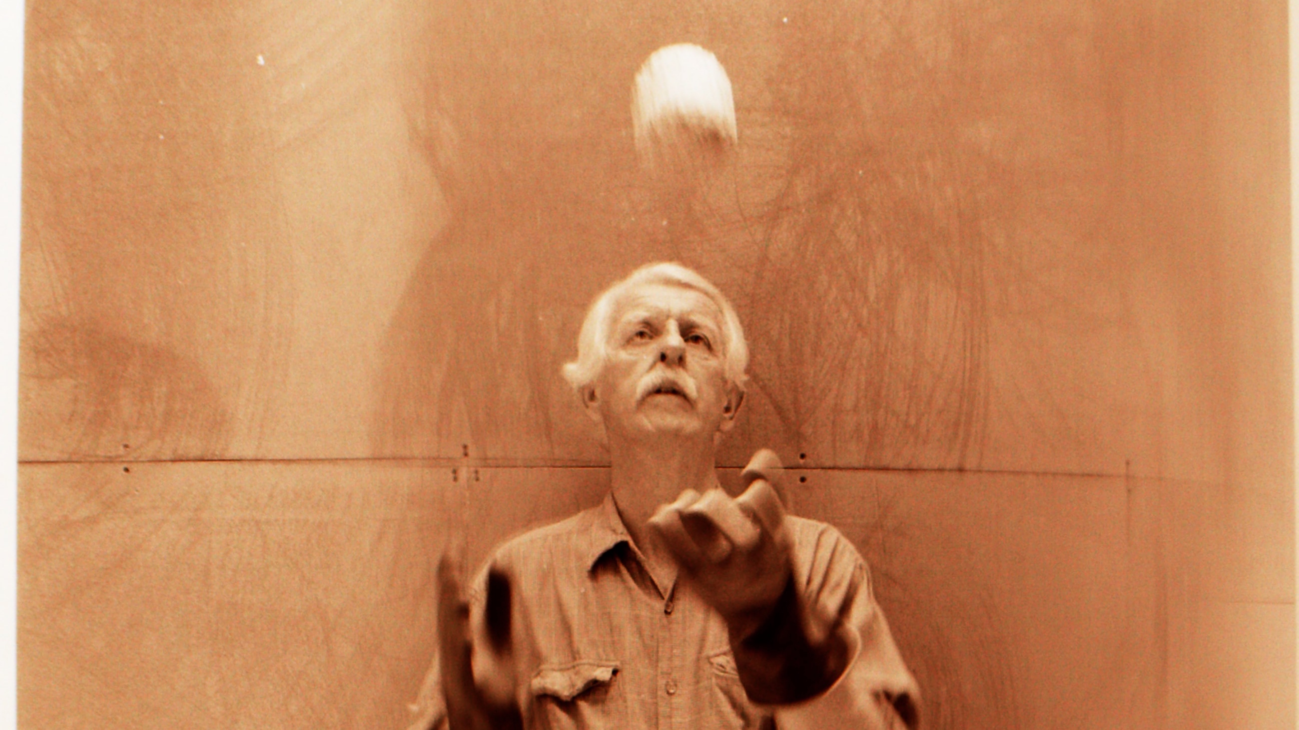 500 Capp Street | David Ireland Biography